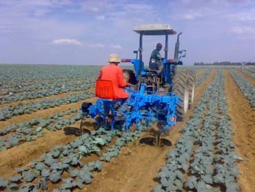 Inter-row Cultivators for effective weed control - Monotec
